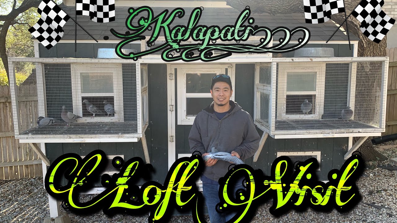 Kalapati Loft Visit 3 stars and a Sun - San Antonio Texas - YouTube