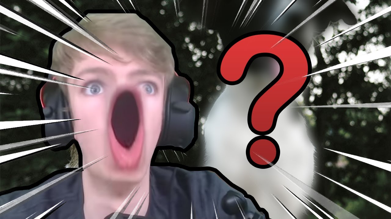 TommyInnit Dog Reveal - YouTube