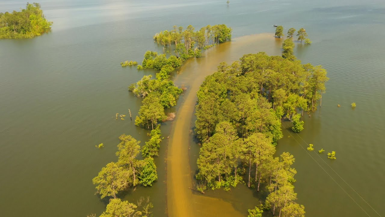 The Sam Rayburn Flood! Inches Away From A New Lake Level Record. - YouTube