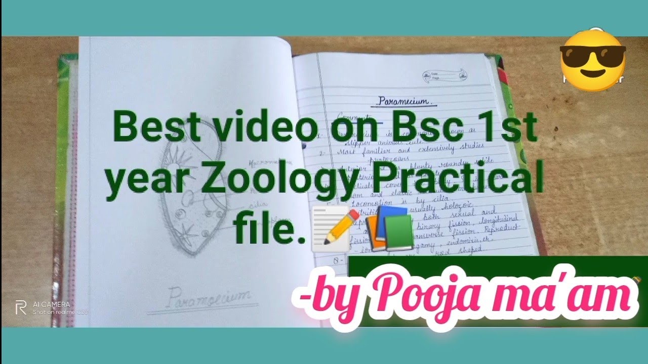 Zoology Practical File BSc 🩷🩷by Pooja ma'am ️ ️ ️ ️ ️ - YouTube