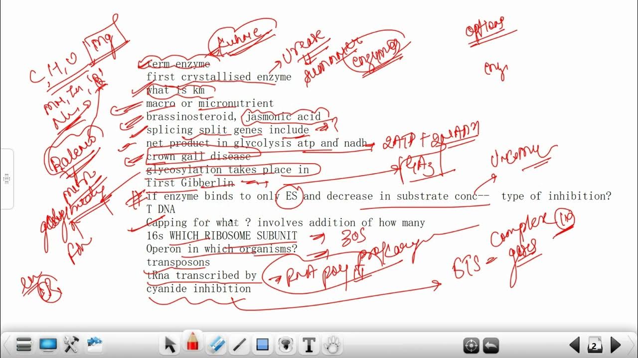 ASRB ICAR NET & STO 2023 Memory Based Questions Discussion | Paper Analysis | #dbtjrf2023 - YouTube