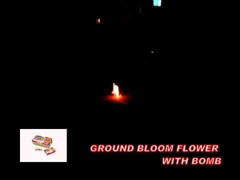 Ground Bloom Flower With Bomb Y27 015 Cannon Fireworks by Red Apple ...
