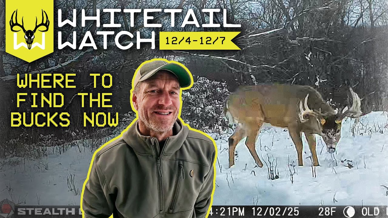 Where To Find The Bucks Now - Late Season Strategies | Whitetail Watch ...