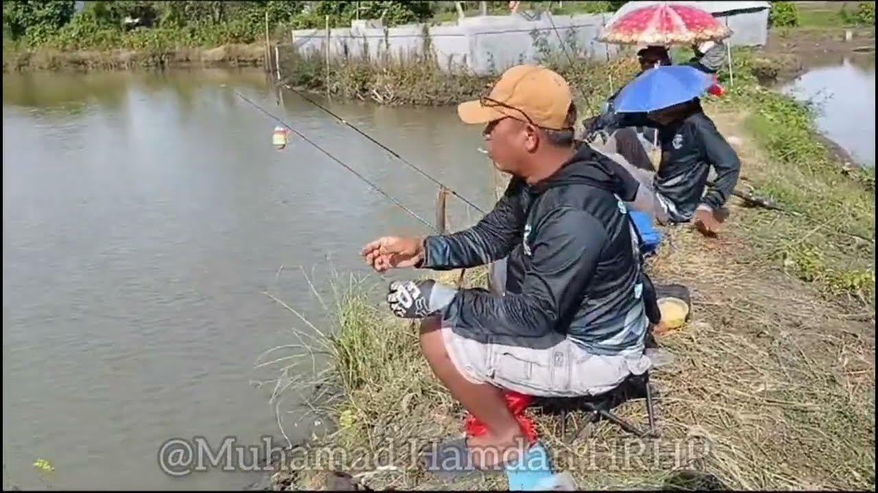 Hiburan Mancing Mania !! Empang Bang Iis, Sungai Bambu, Ikannya Halus2 Tapi Strike Bertubi-tubi ...