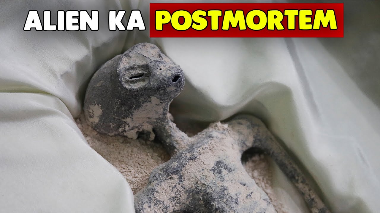 What Is The Reality Of Jaime Maussan's Alien Bodies In Mexico ...