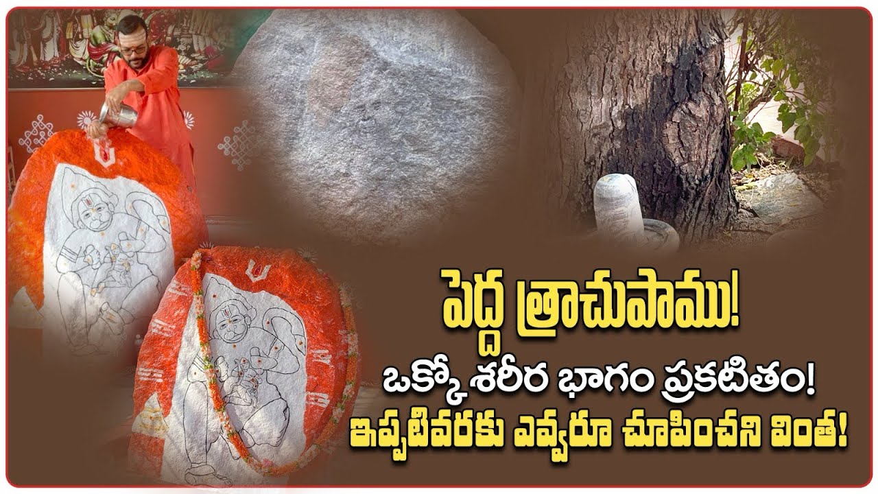 హనుమాన్ స్వయంగా కడుతున్న దేవాలయం | MS Rama Rao Spiritual Centre Hanuman ...