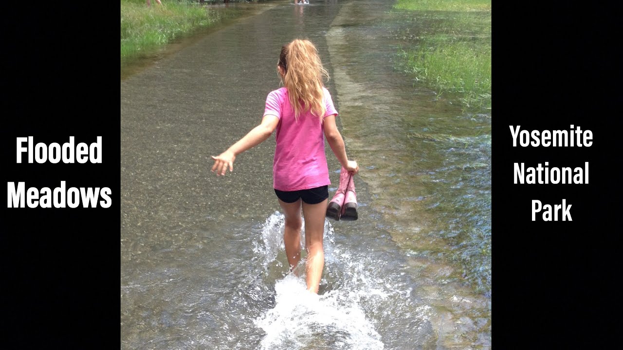 Yosemite - Sentinel Meadow Flooded (June 2017) - YouTube