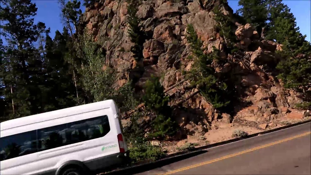 Hamster in Colorado: Rocky Mountain National Park: Quaking Aspens - YouTube
