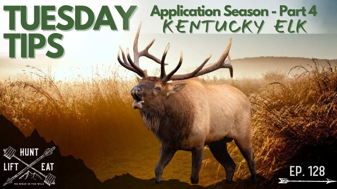 The Hunt Lift Eat Podcast Tuesday Tips EP 128: Kentucky Elk - YouTube