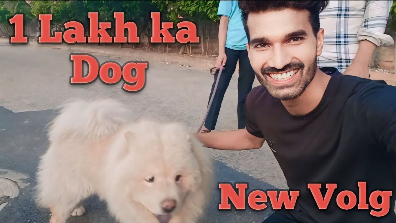 Video shooting and 1 Lakh ka dog 🐕 Ek bar jarur dekhe #dancecentral143 ...