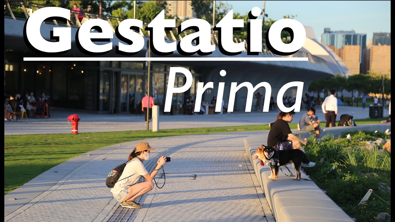 Gestatio Prima - Campum Artium in Novendraconibus Occidentalibus ...