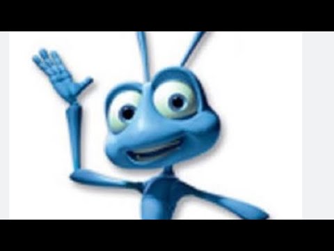 Animales más agradables y buena onda del mundo - YouTube