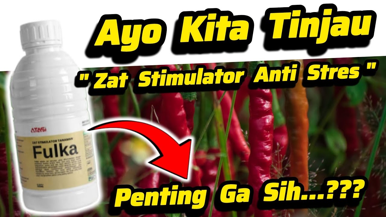 ‼️‼️Penting Atau Tidak‼️‼️Pupuk Semprot Fulka Untuk Tanaman Stres 🤔 🤔 ...