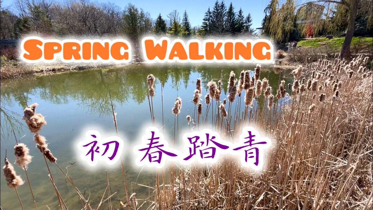 Spring Walking, Humber River Trail, Humber Arboretum, Toronto 初春踏青 ...