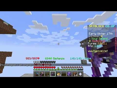 Hypixel Bug Report Video 26-09-2022 - YouTube