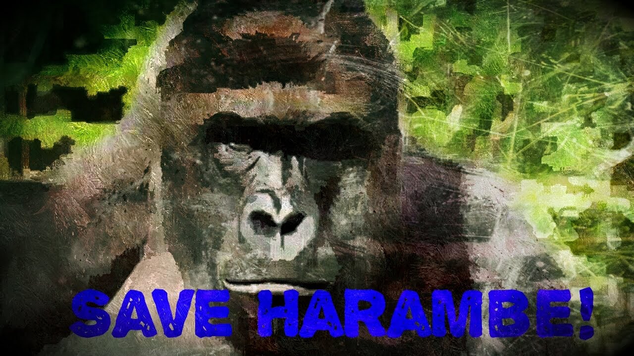 Save Harambe! | App Games - YouTube