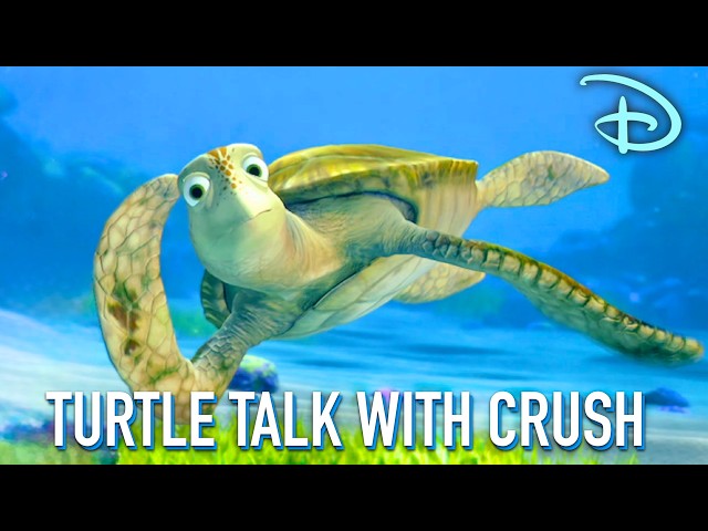 The Sea Turtle Crush Quotes