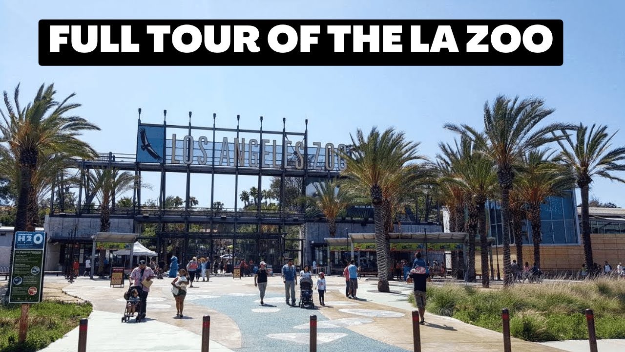 View Of La Zoo L.A. Zoo — LANDAU Design+Technology