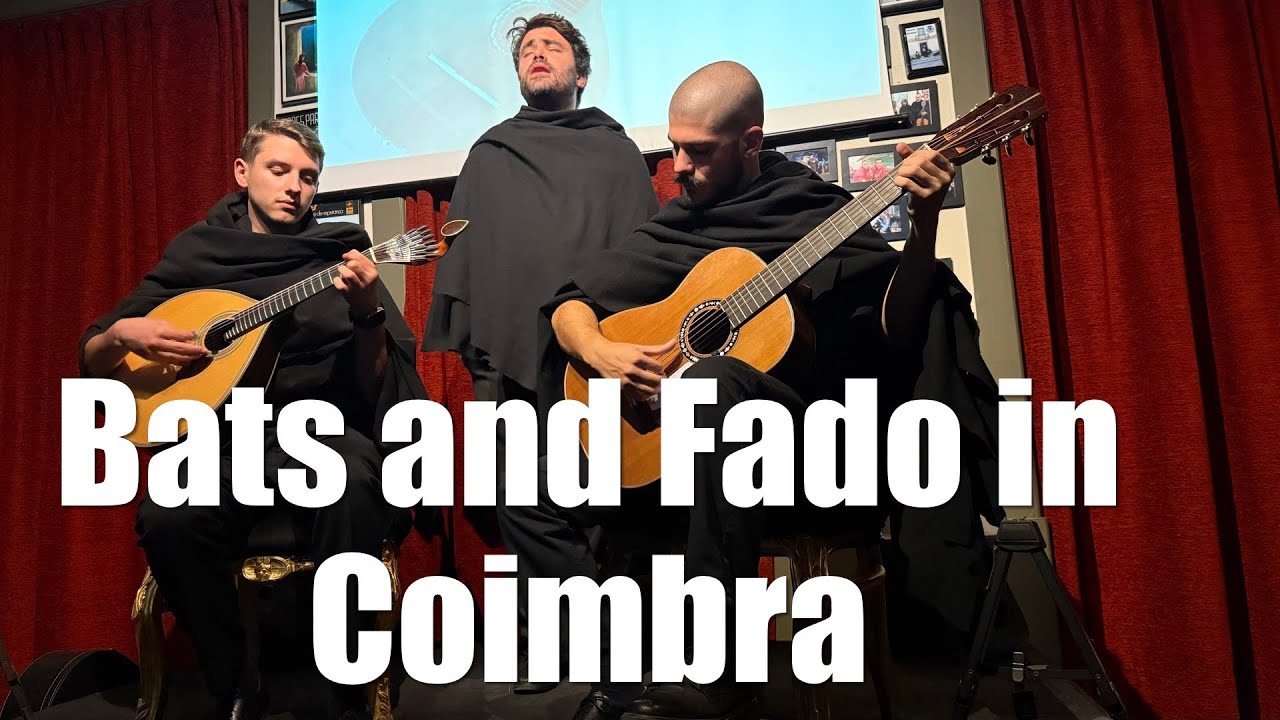 We visited The Bats Library In Coimbra - YouTube
