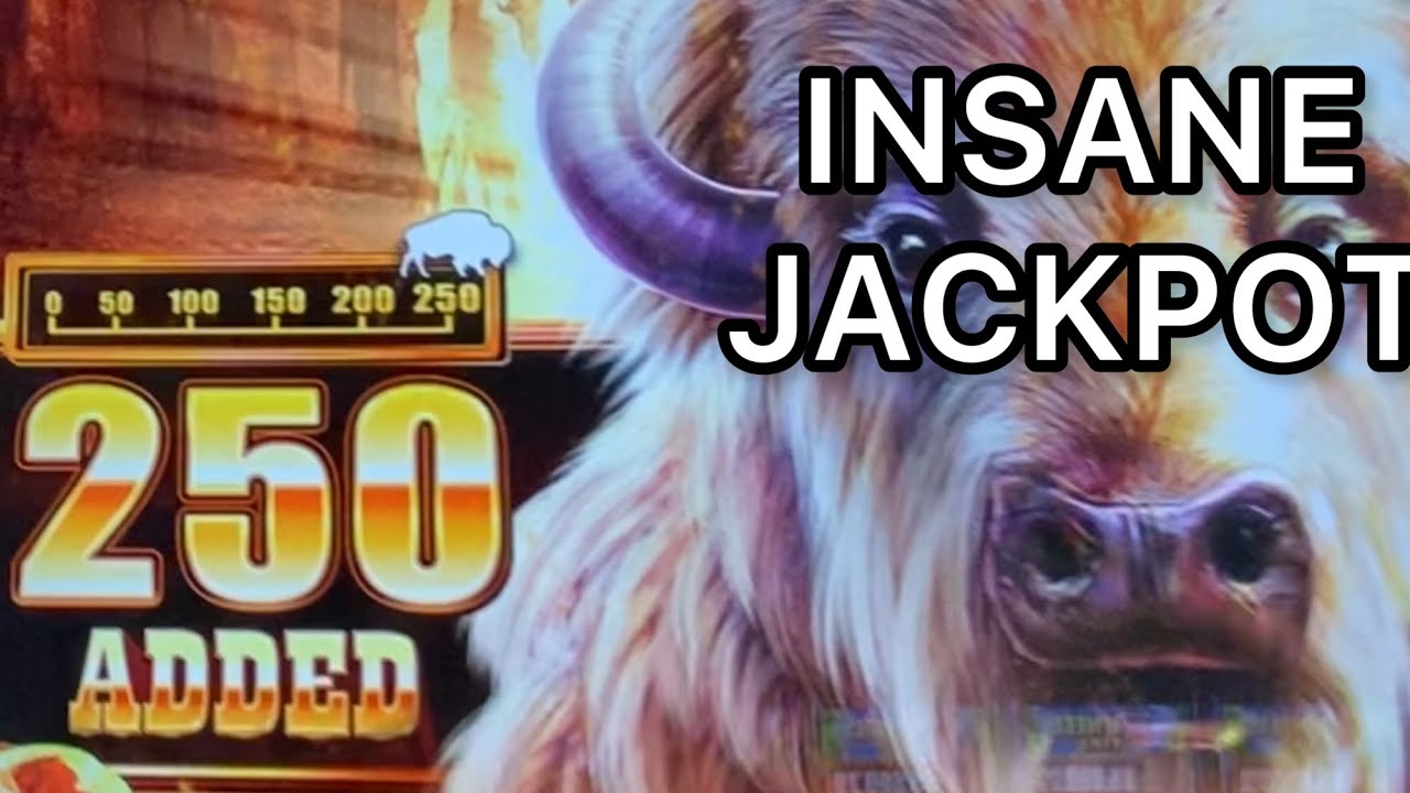 OMG 250 CHIEF HEADS- BUCKET LIST ACHIEVED- BUFFALO CHIEF SLOT - YouTube