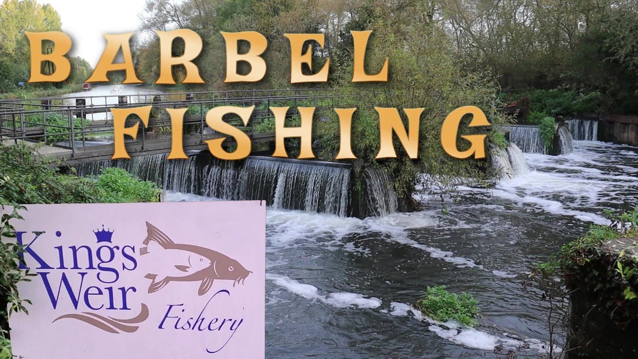 Barbel Fishing @ Kings Weir Fishery - YouTube