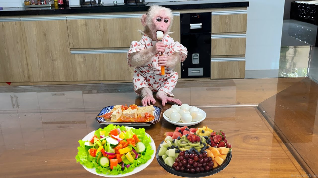 Monkey Luk was entertain sumptuous meal by dad before go business trip ...