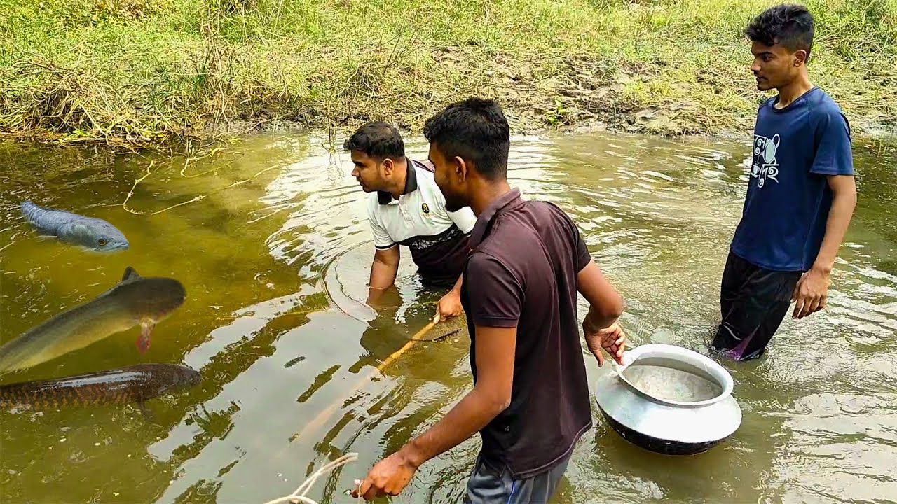Fishing video || Skilled boys are fishing in the village field ...