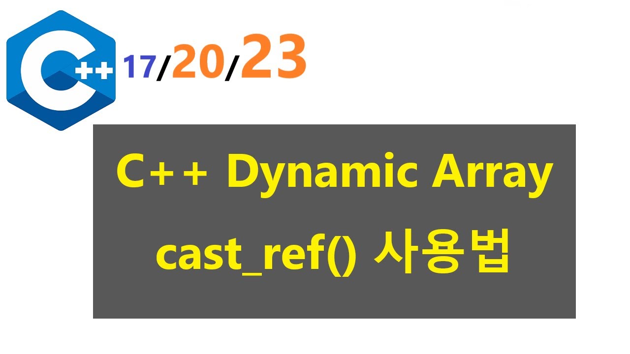021k - C++ Multidimensional Dynamic Array and cast_ref() 사용법 - YouTube