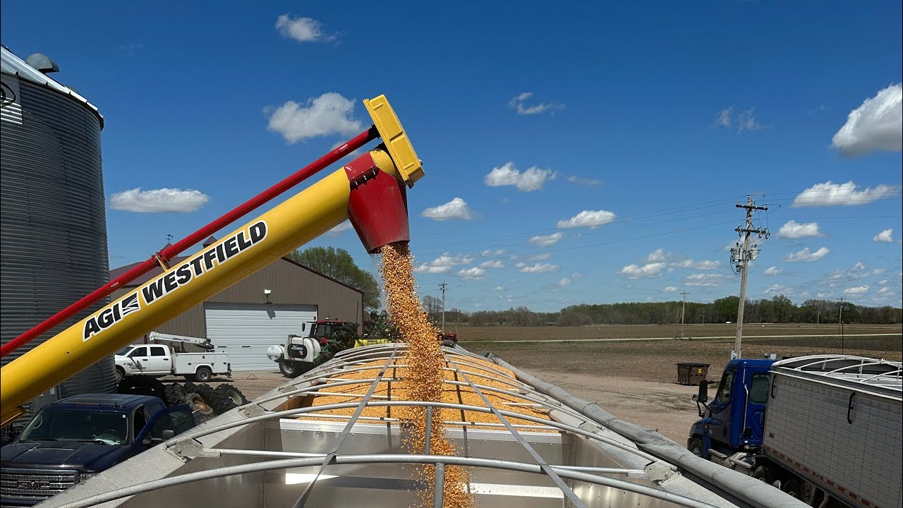 Hauling corn - YouTube