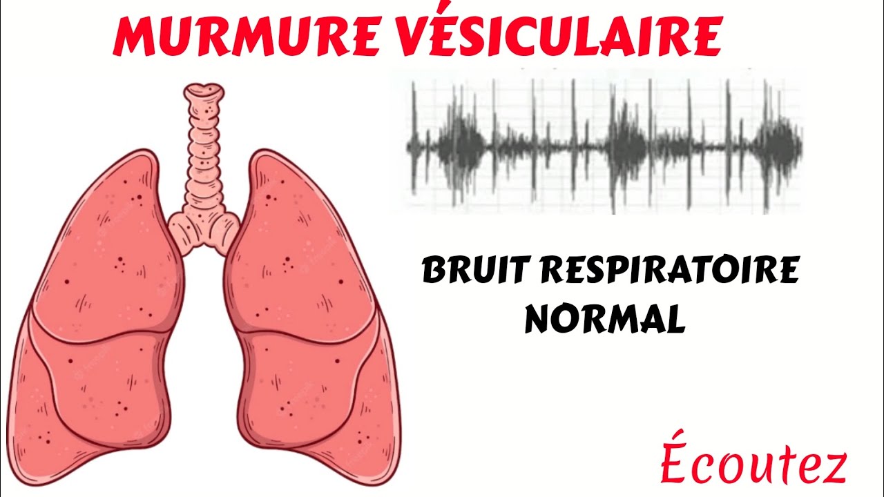 Écoutez le MURMURE VÉSICULAIRE| Le bruit respiratoire normal - YouTube
