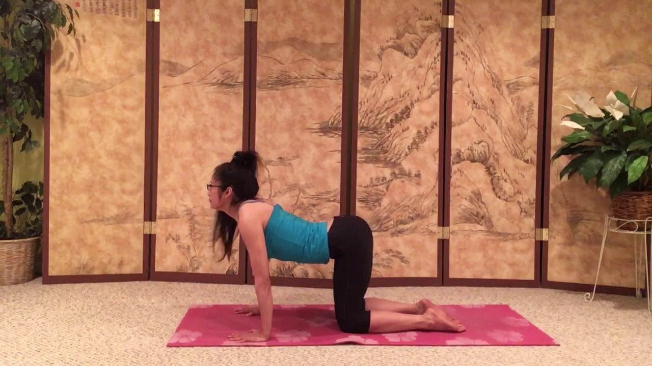 How to do the cat pose - YouTube