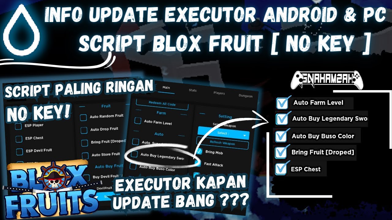 [ UPDATE ] BLOX FRUIT SCRIPT MOBILE AND INFO UPDATE EXECUTOR | AUTO ...