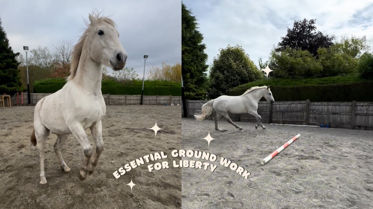 Liberty & Ground Work | Essential Ground Work - YouTube