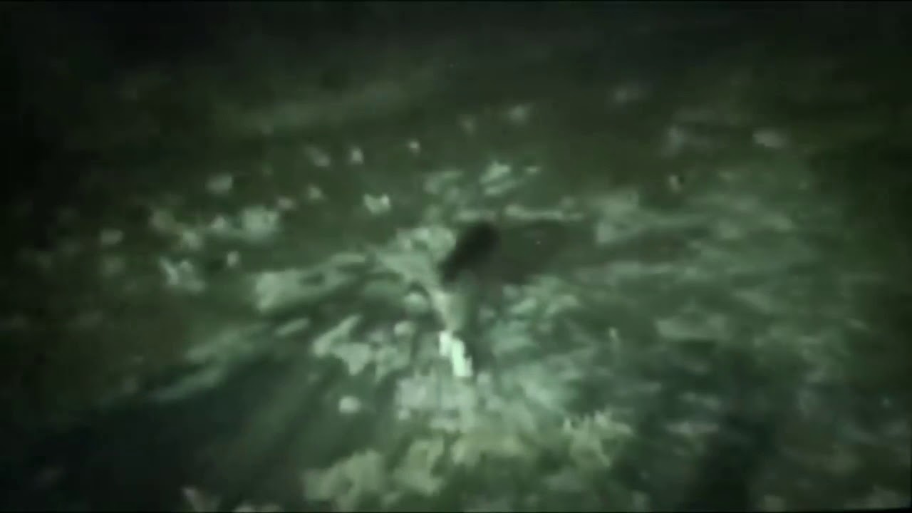 ALIENO in un giardino di casa|| video PARANORMALE 2018 - YouTube