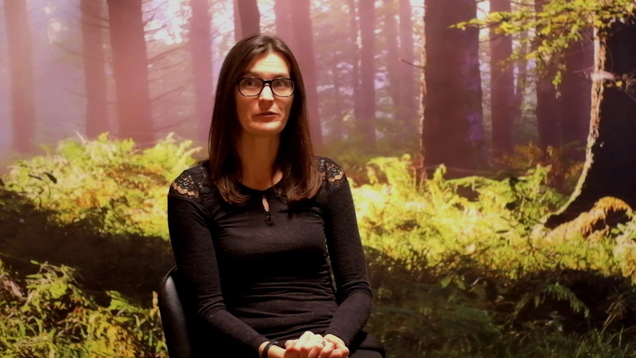 Parsec Accelerator - EO based forest monitoring and evaluation system - YouTube