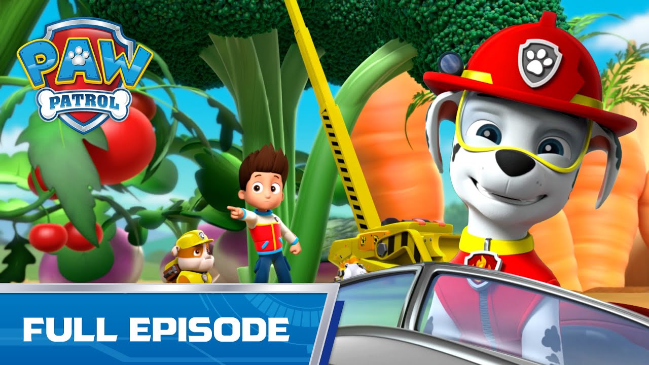 The Pups Stop Giant Vegetables - 319 - PAW Patrol Full Episode ...
