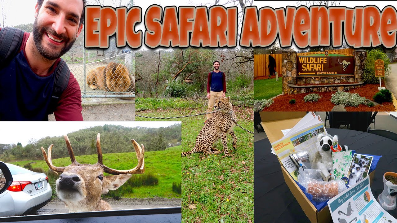 An Epic Day at the Wildlife Safari in Winston, Oregon - YouTube