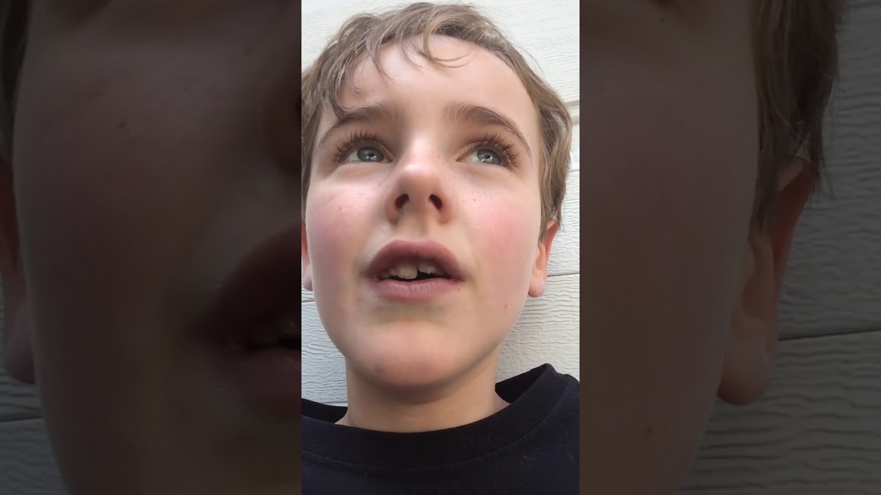 Lucy and the piggy boys play piggy hide and seek - YouTube