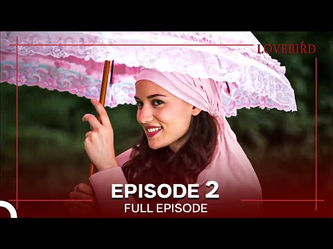 Lovebird Episode 2