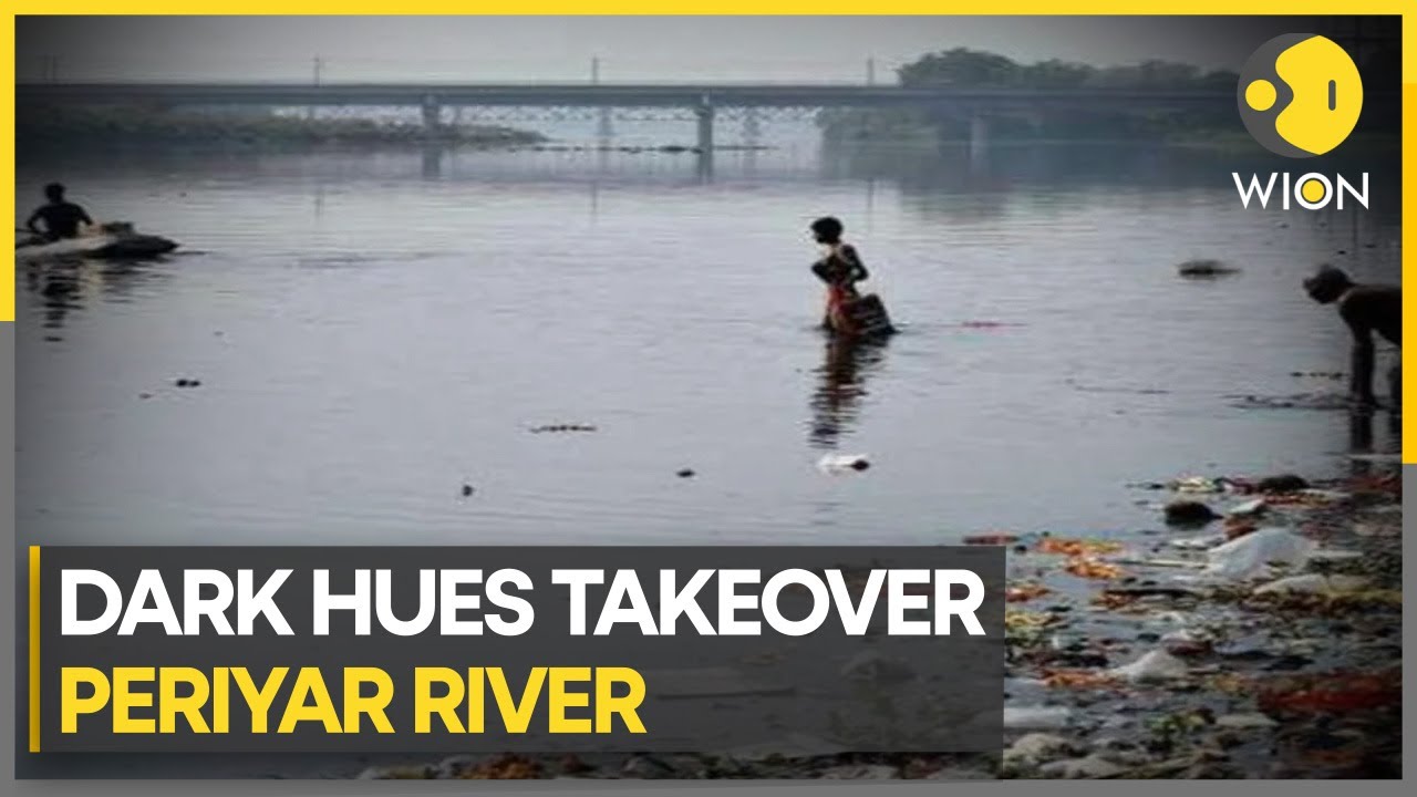 As Indians try to save Periyar river, officials deny problems | WION ...