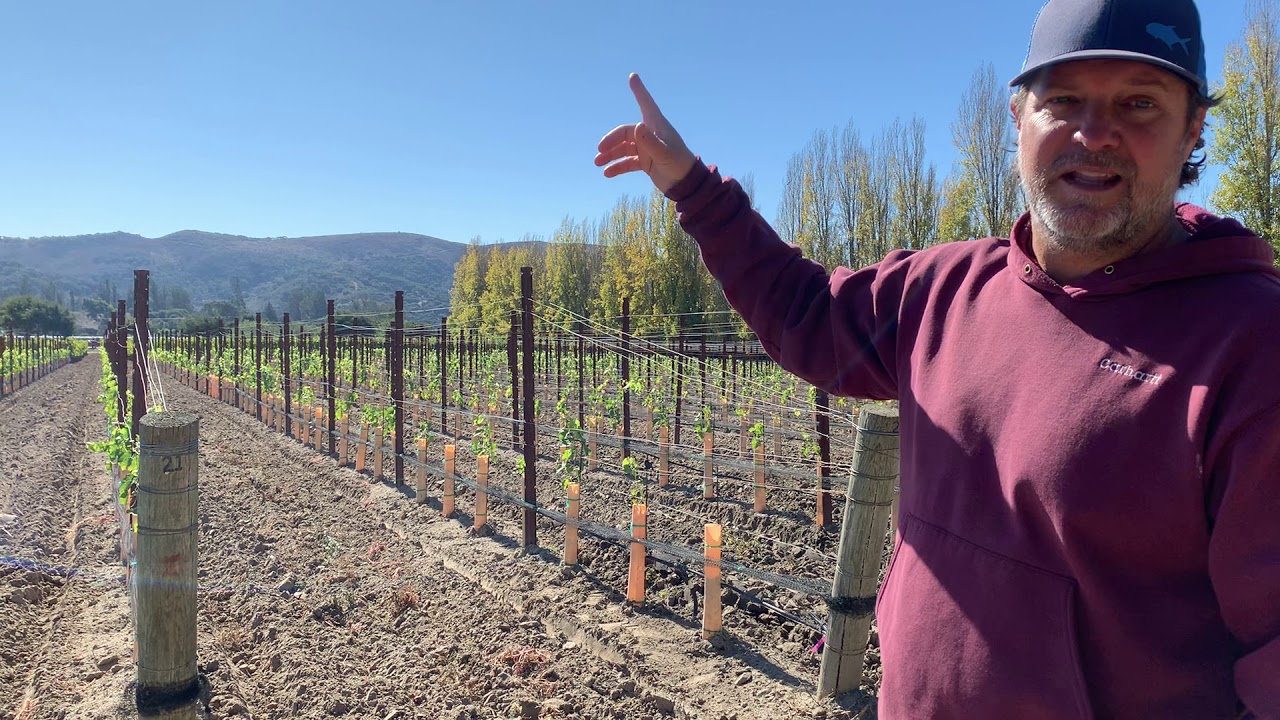 Melville Estate, Sta. Rita Hills with Chad Melville - YouTube