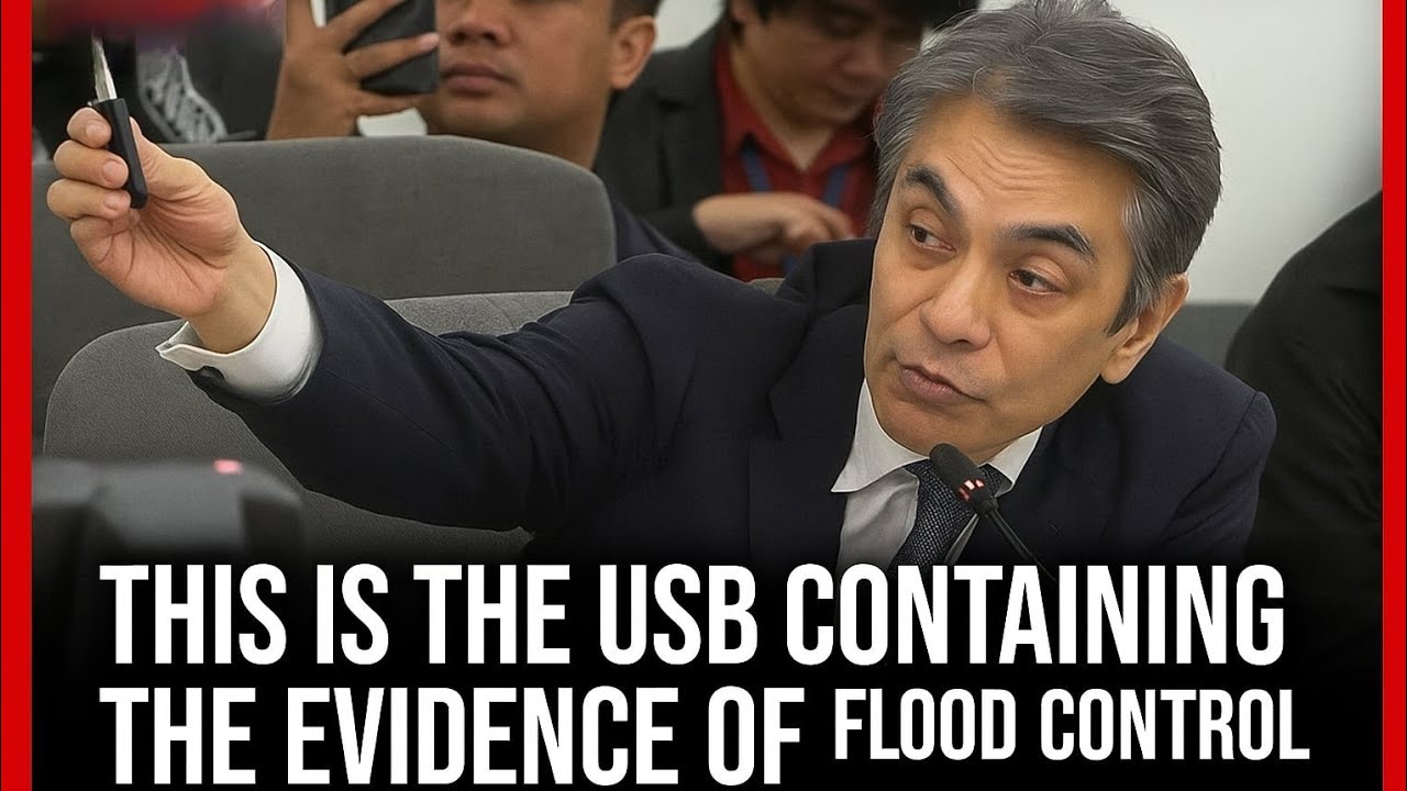 Toby Tiangco vs Garin | Congress hearing | House Infra Committee | USB ...