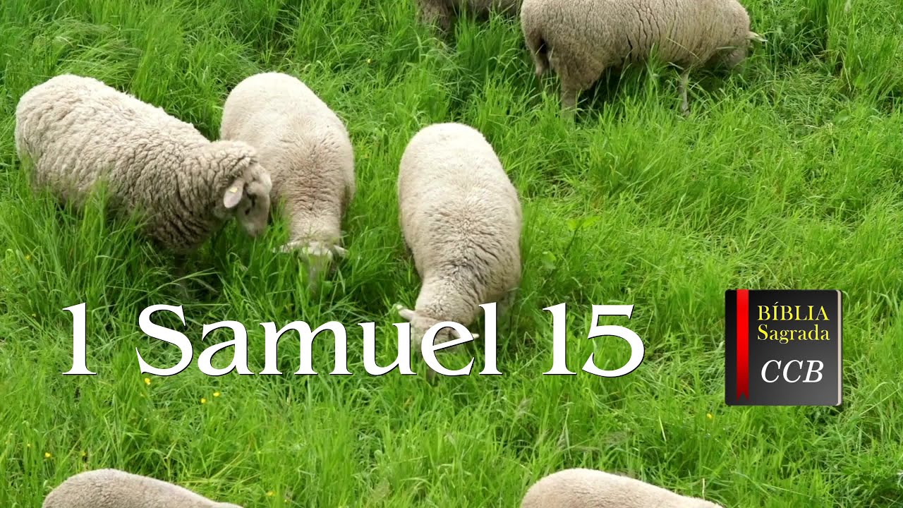 1 Samuel 15 - Samuel manda a Saul destruir os amalequitas | Bíblia CCB ...
