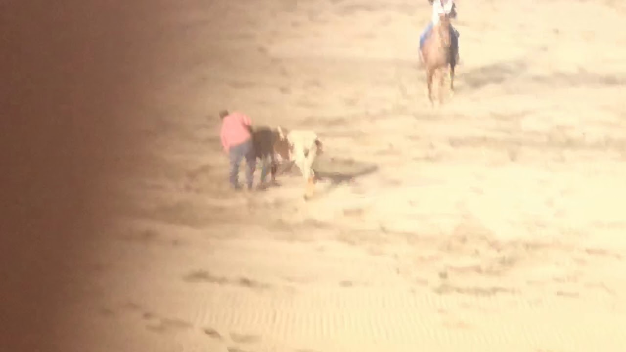 Rodeo fail - YouTube