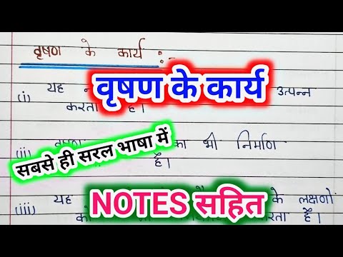 वृषण के कार्य / vrishan ke karya bataiye / vrishan ke do karya likhiye ...
