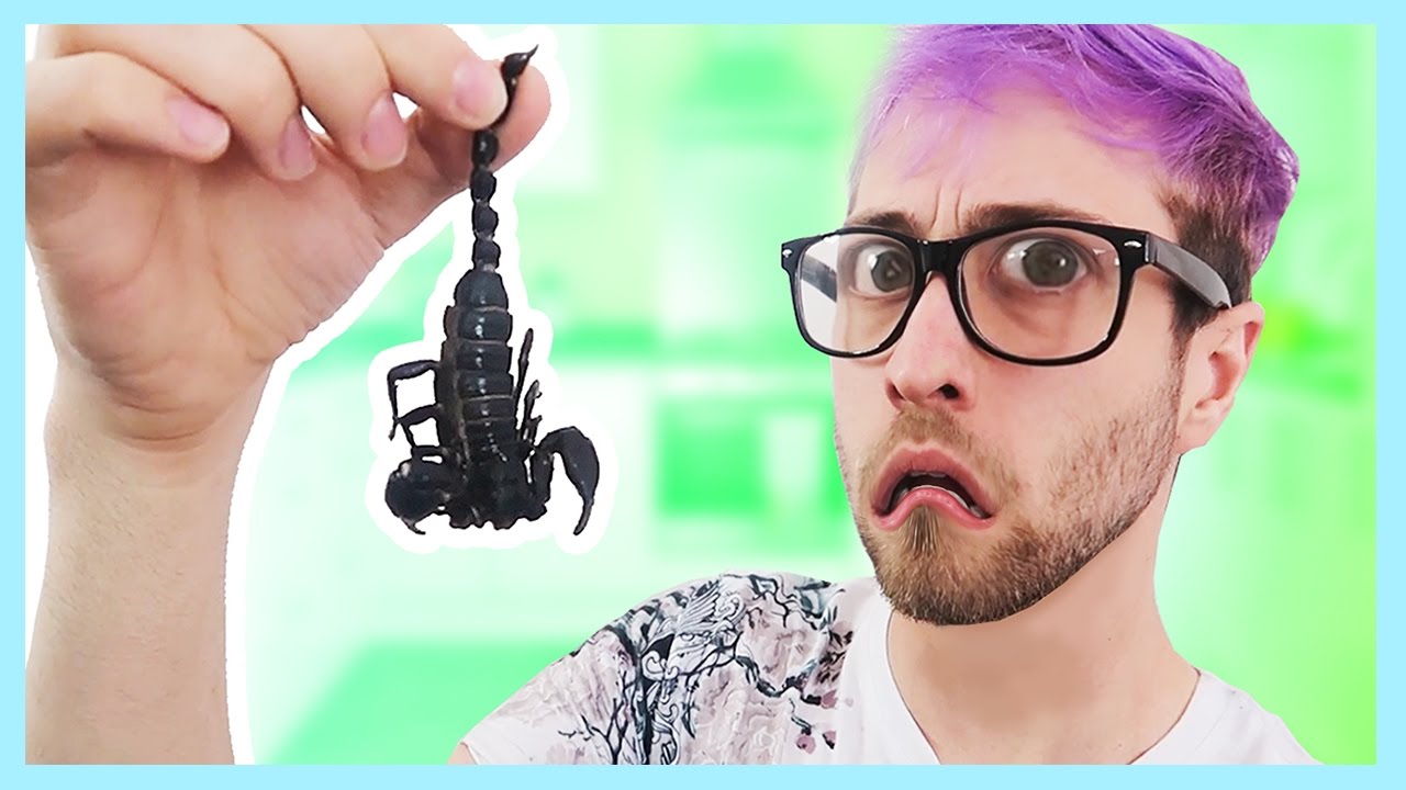 BUG EATING CHALLENGE - YouTube