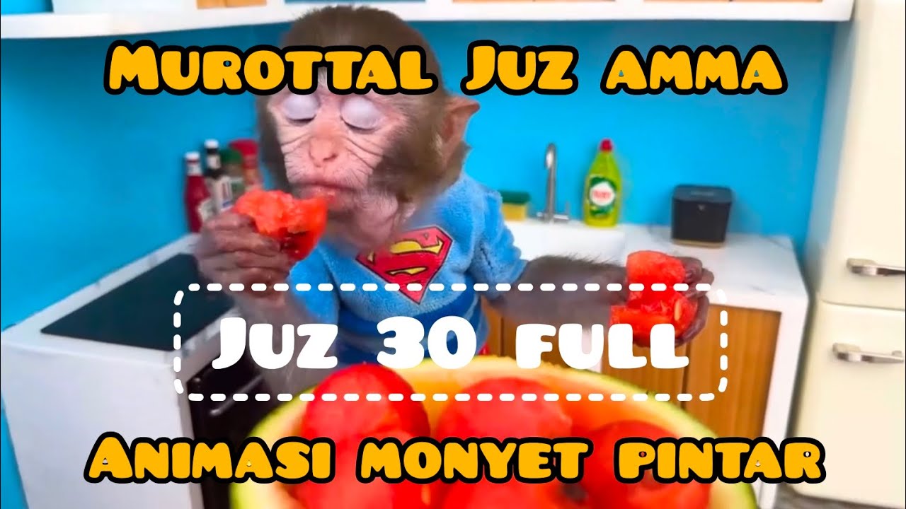 Monyet Pintar Monyet Lucu Juz 30 Full Murottal Anak Juz Amma - YouTube