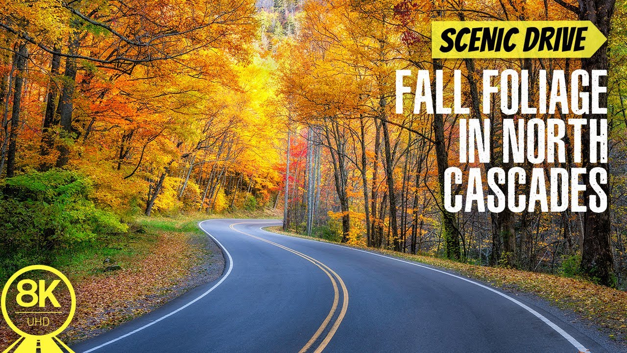 Autumn Scenic Roads of North Cascades National Park 8K HDR - Fall ...