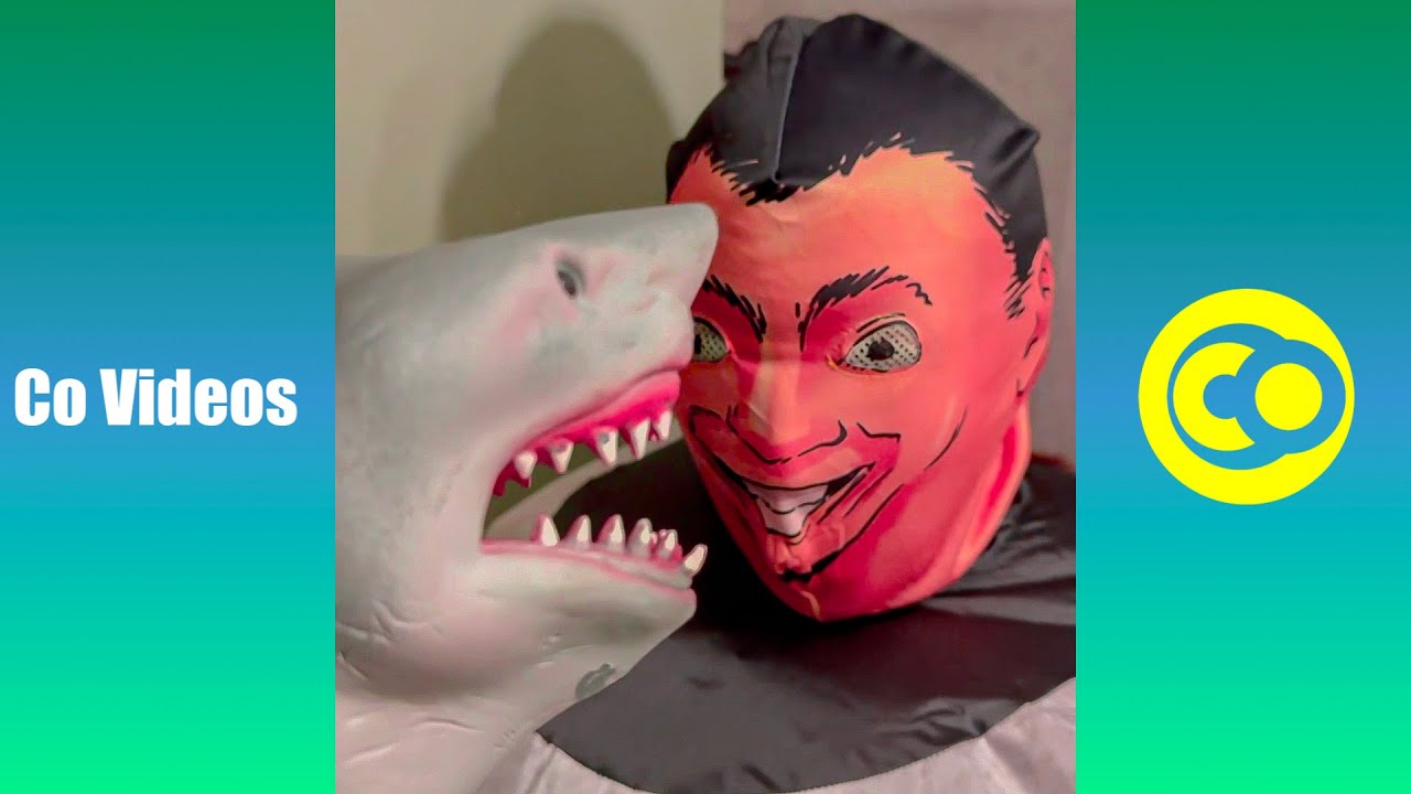[1 HOUR] of The Best Shark Puppet Vines Compilation | Funny Shark ...