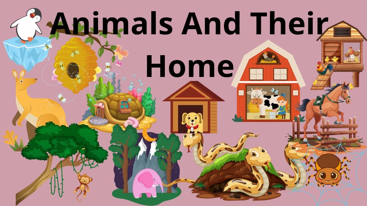 Animals and their home| Animals and Their Homes with Kids Storybook ...